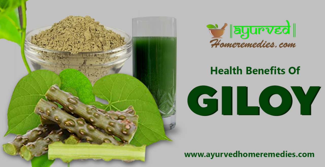 Health Benefits Of Giloy | The Best Immunity Boosting Herb | Overview ...